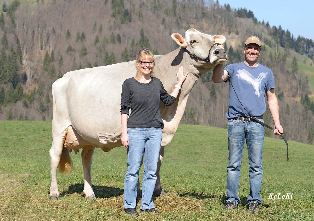 Vorstellung Vorstand VadZ, Richard Studer – Braunvieh aus der ...