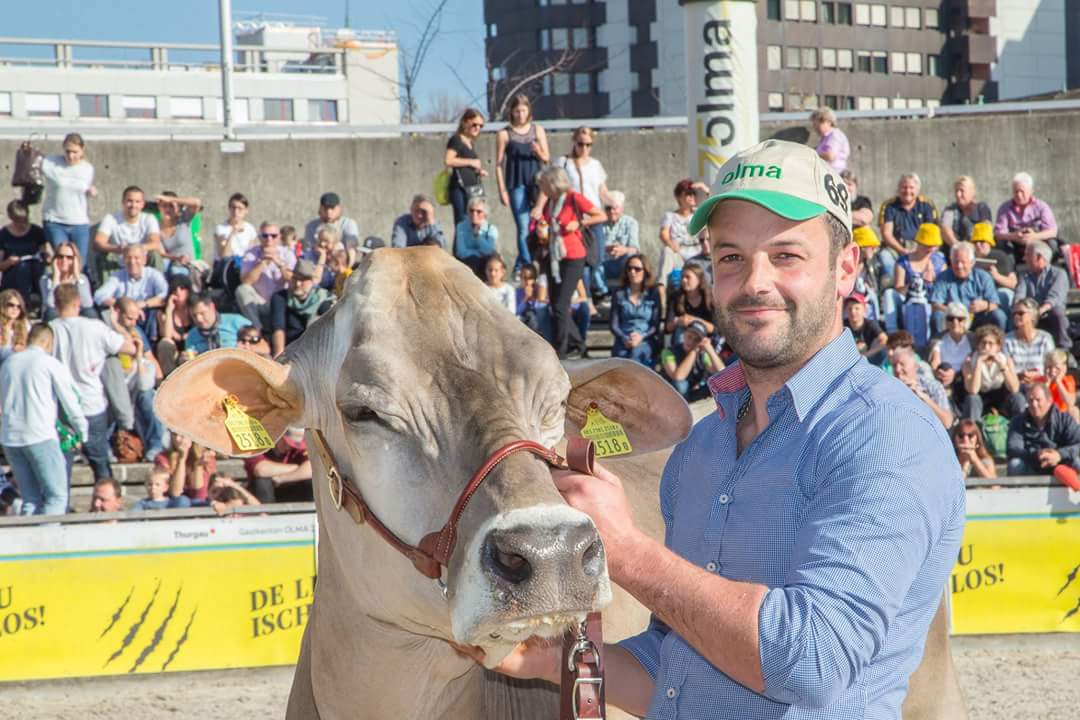 Vorstellung Vorstand Viehzuchtverband Schwyz – Vieh aus der Zentralschweiz