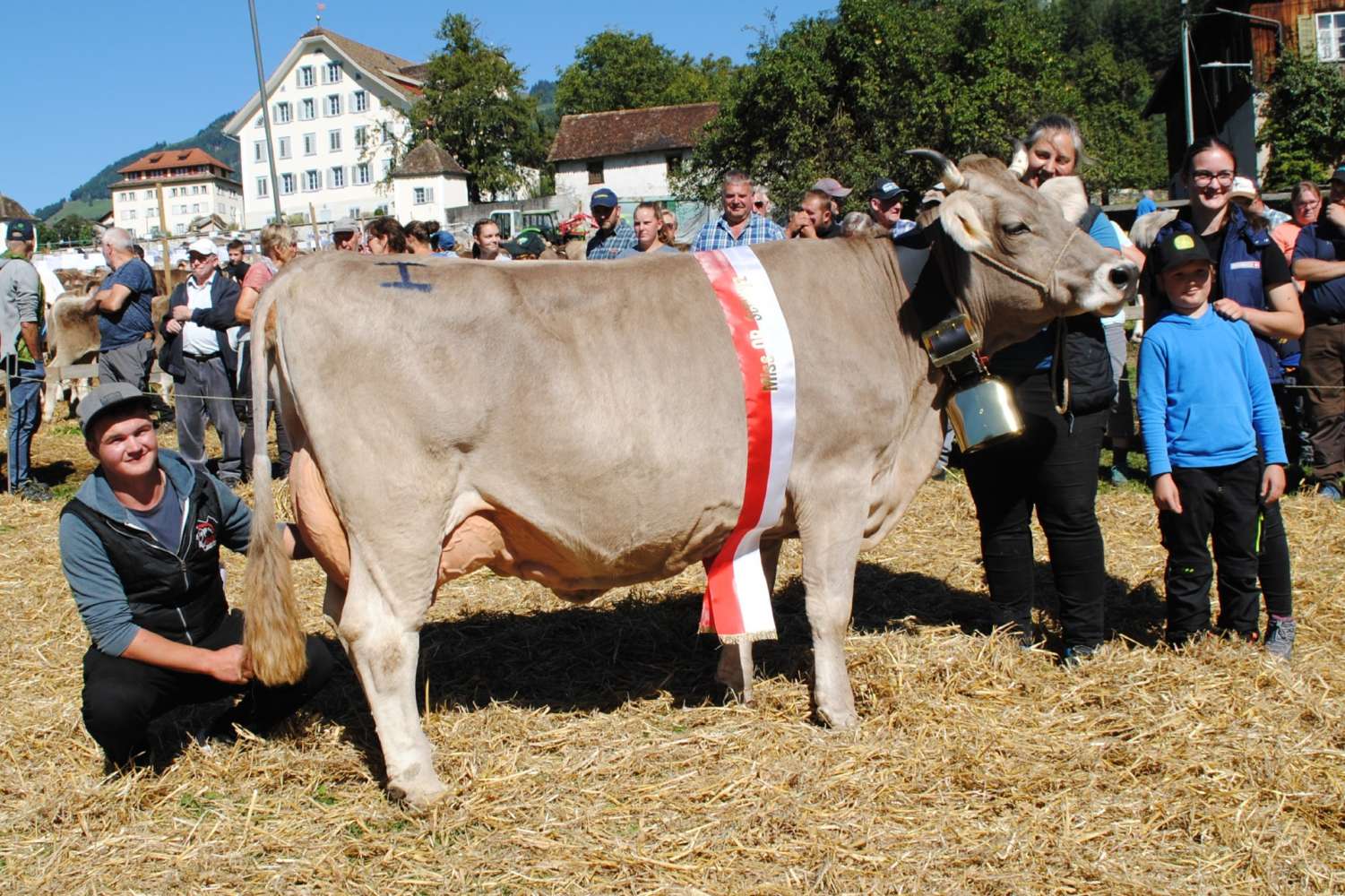 Bezirksviehschau Schwyz 2023 – Vieh aus der Zentralschweiz