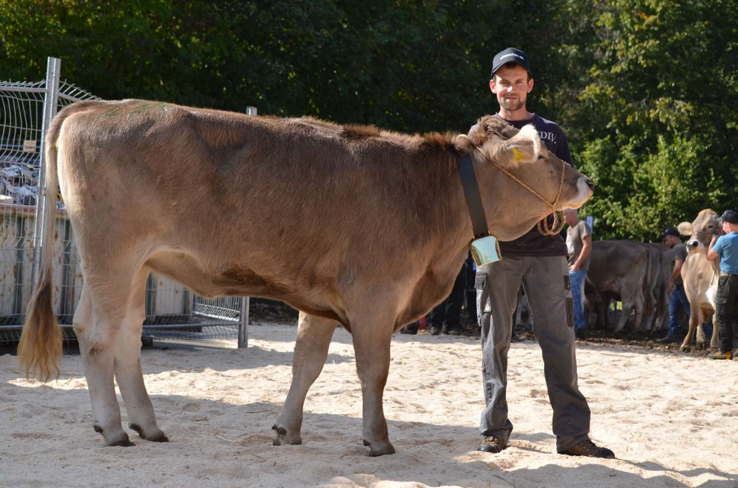 Genossenschaftsviehschau BVZG Entlebuch 2023 – Vieh aus der Zentralschweiz